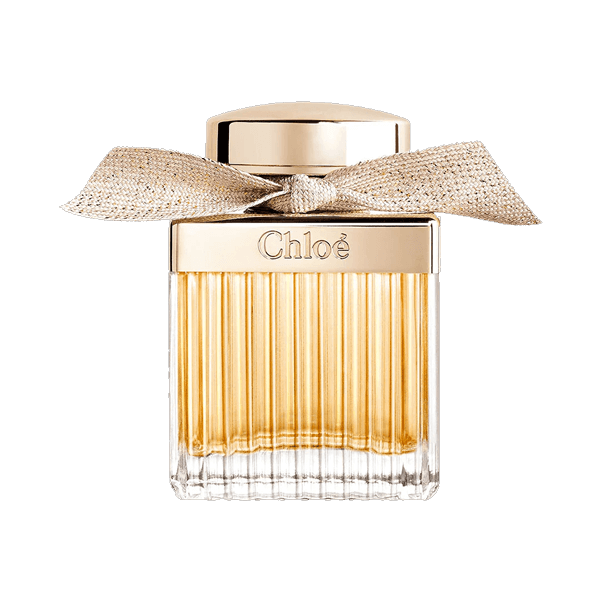 ABSOLU – Exclusive Lines