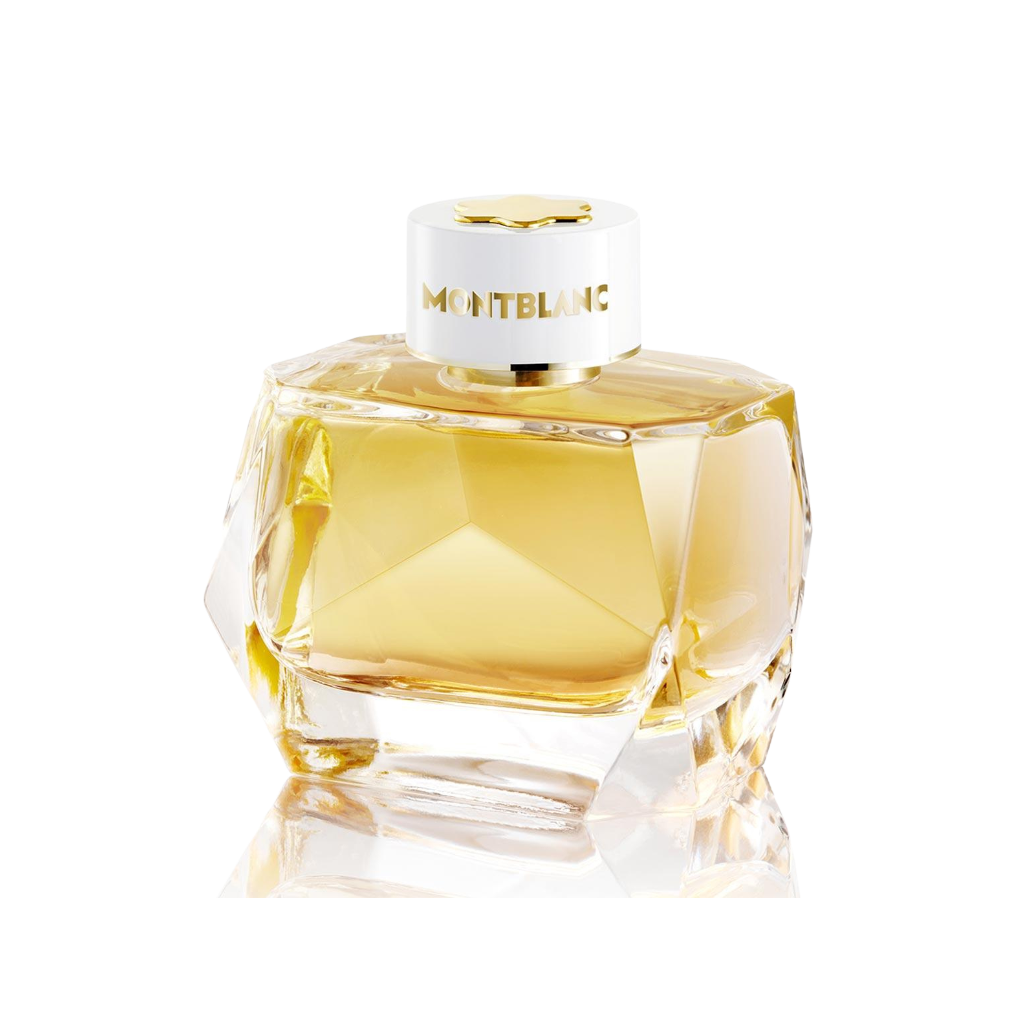 SIGNATURE ABSOLU – Exclusive Lines