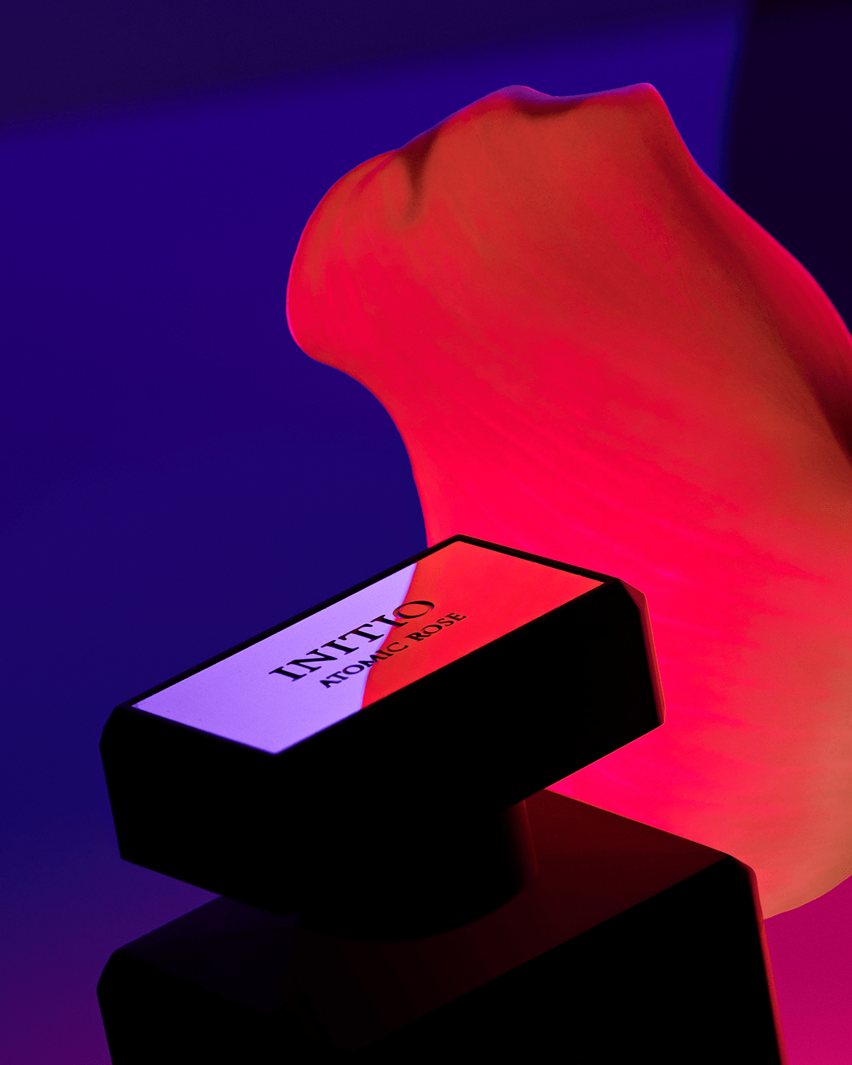 ATOMIC ROSE – Exclusive Lines