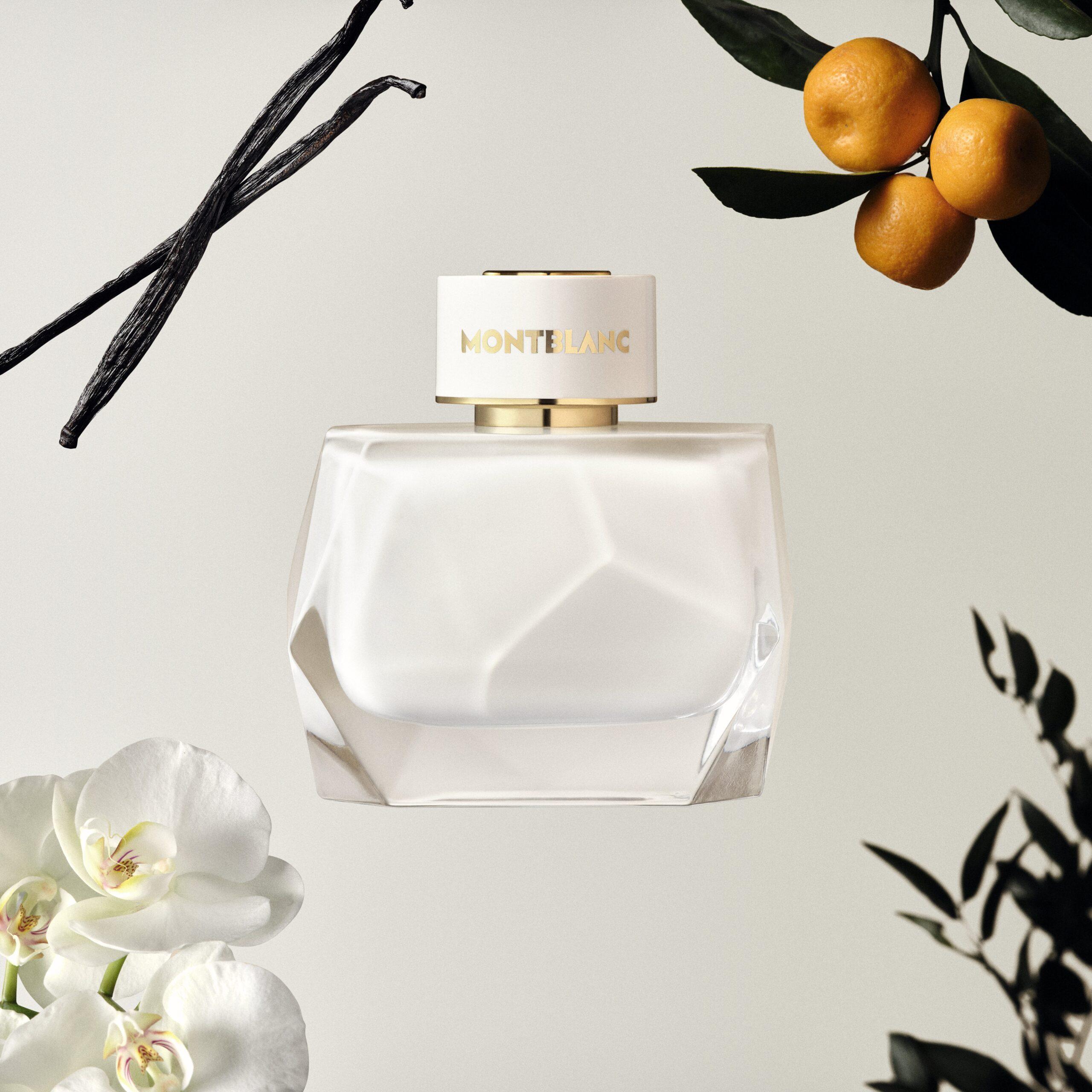 SIGNATURE – Exclusive Lines