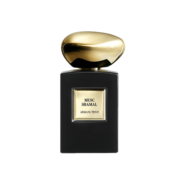 MUSC SHAMAL – Exclusive Lines